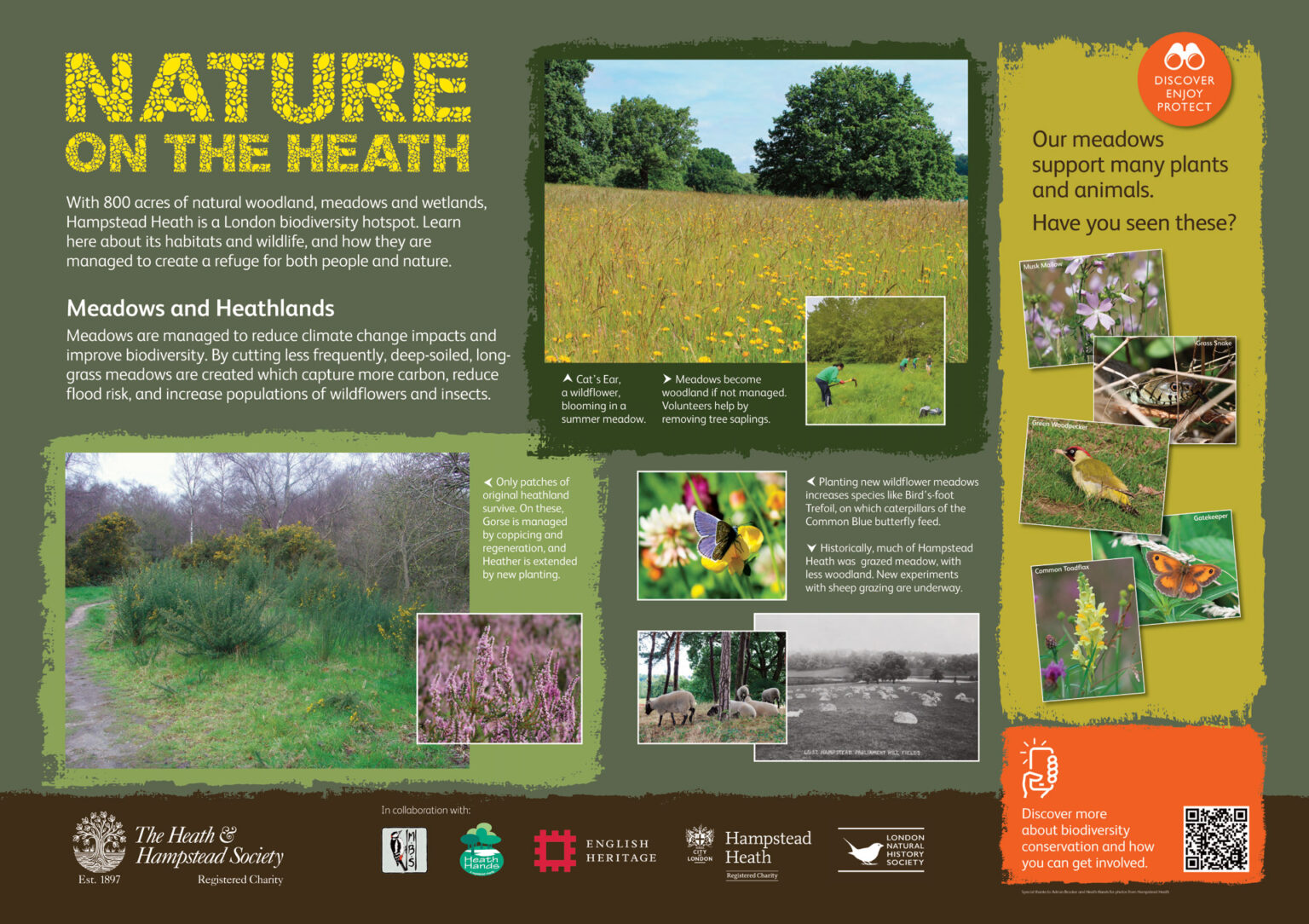 The Heath & Hampstead Society – Fighting to preserve the wild and ...